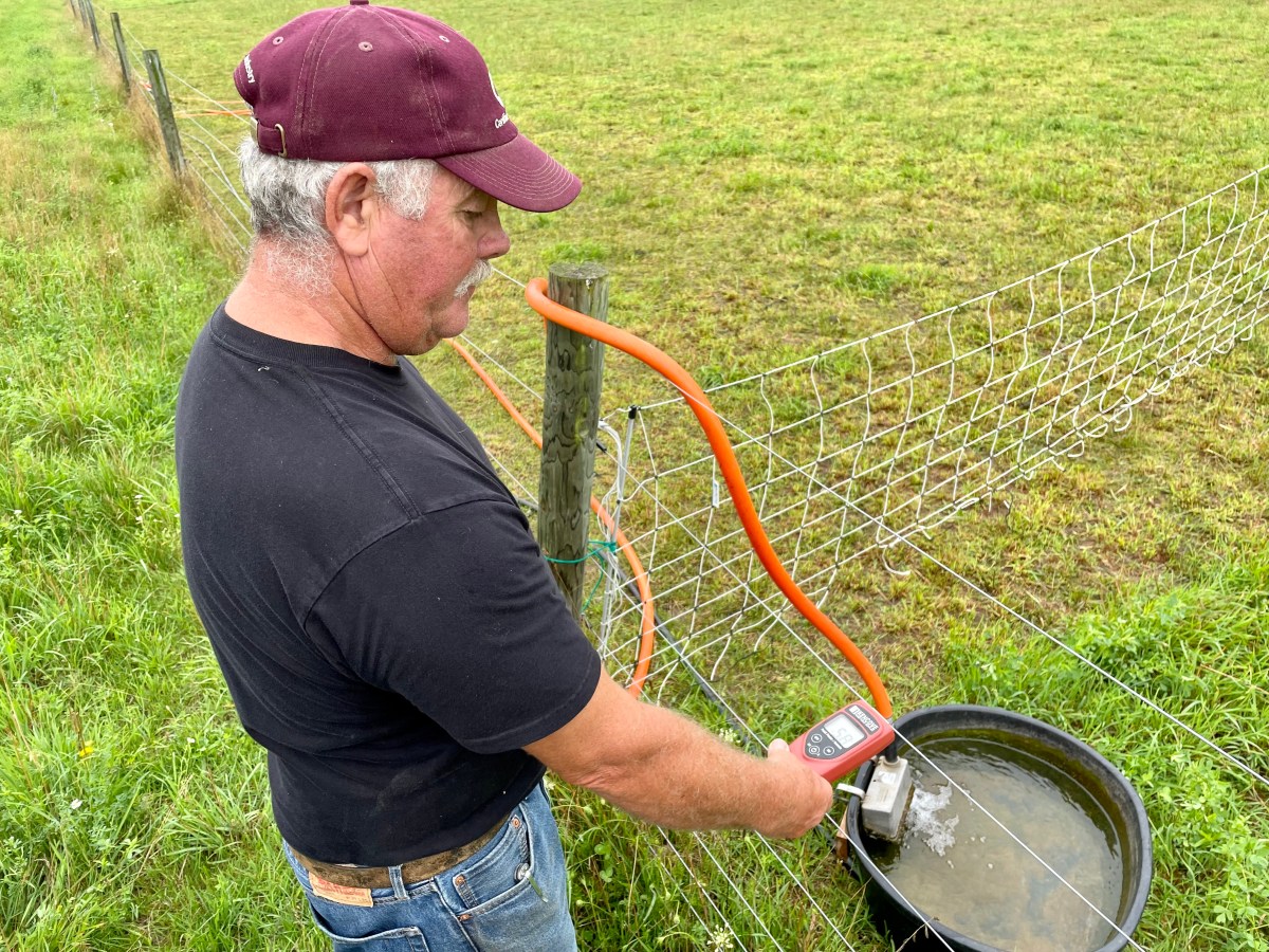 Top Ten Tools for Shepherds – Great Lakes Lamb
